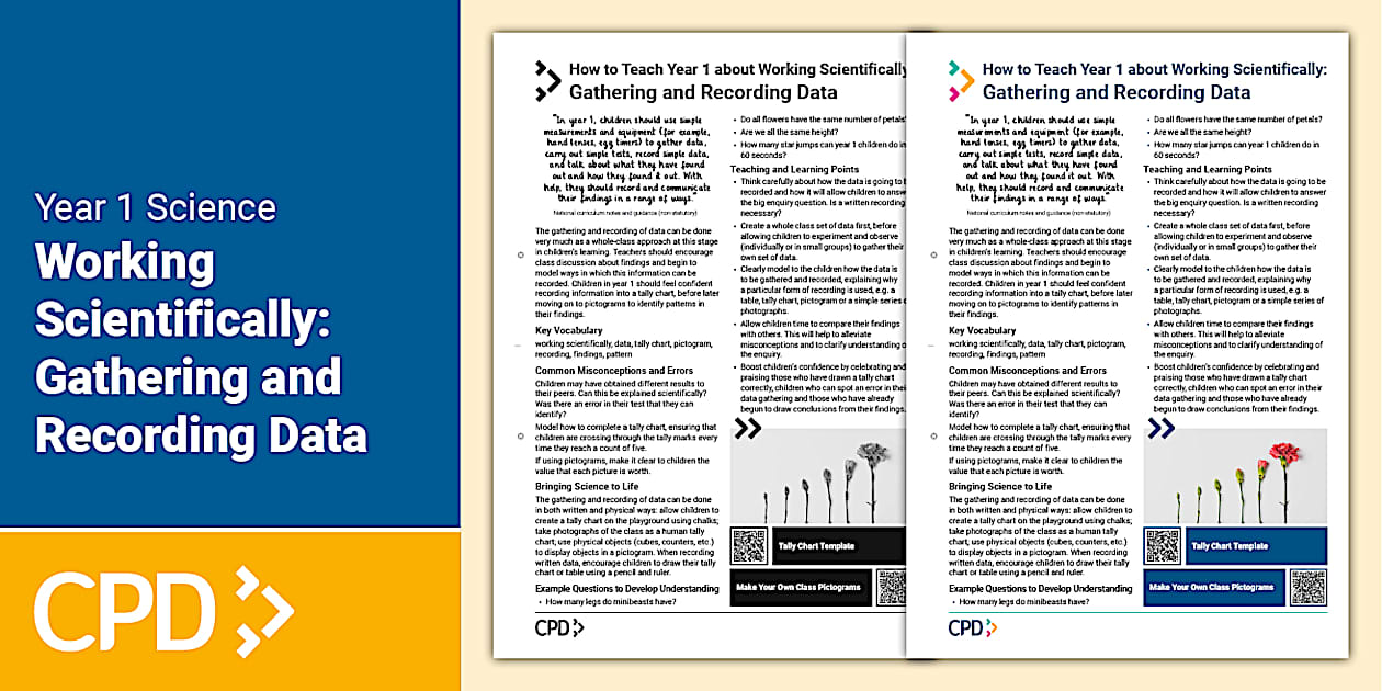 Working Scientifically in Year 1 - Gathering and Recording Data