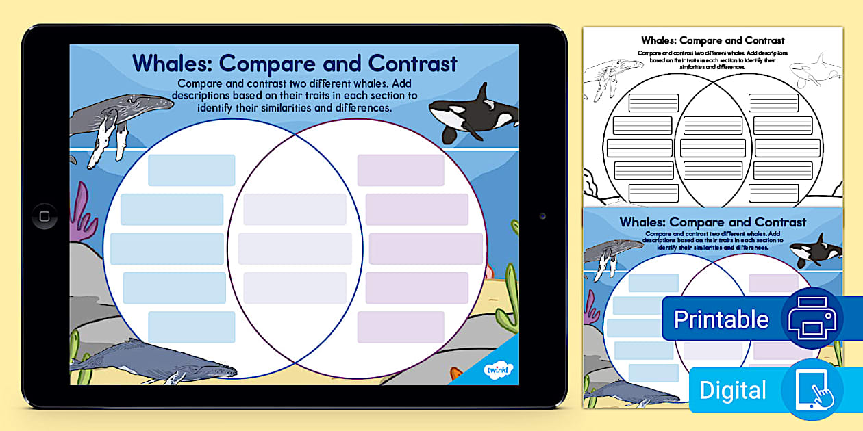 Whales: Compare and Contrast Worksheet (teacher made)