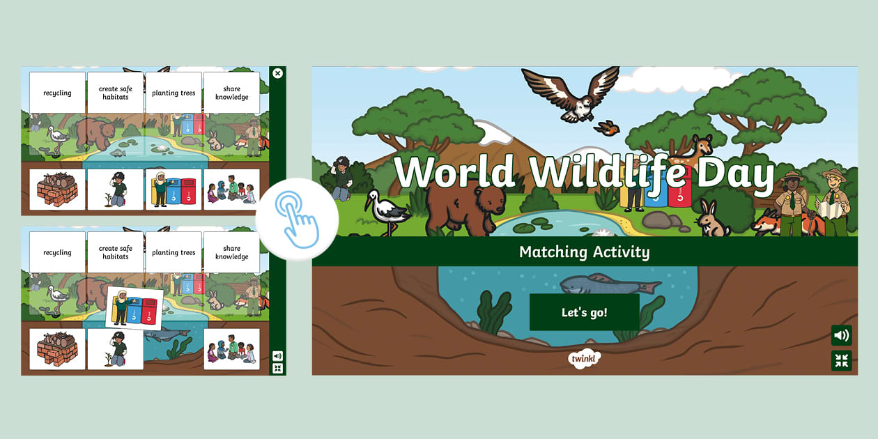 World Wildlife Day Interactive Matching (professor feito)