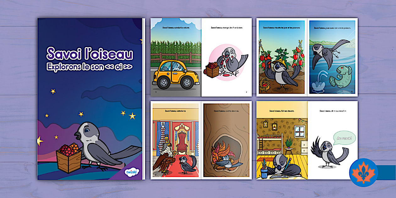 Mini French Stories with the Sound: Oi - Twinkl