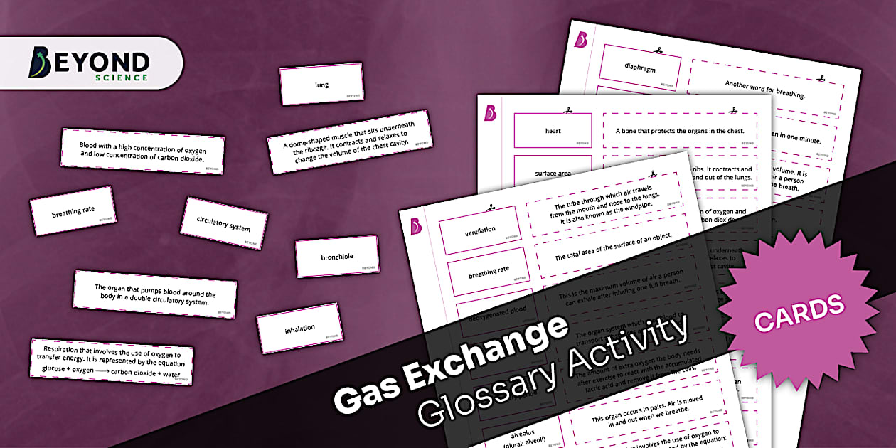 Gas Exchange Pairs Glossary Activity | KS3 Biology