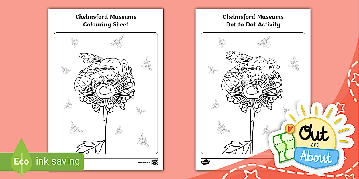 Chelmsford Museums Activity Pack – Twinkl Resources