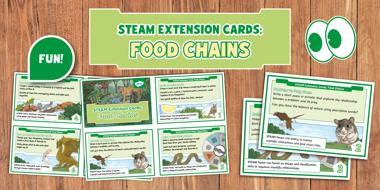 STEAM Extension Cards: Food Chains