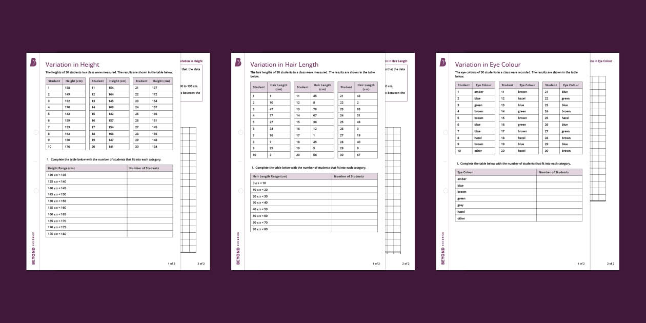 Variation Graph Skills Worksheet | Beyond Science - Twinkl