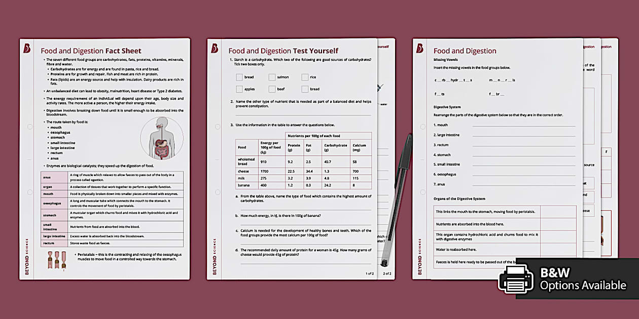 KS3 Food and Digestion Revision Pack | KS3 Science | Beyond