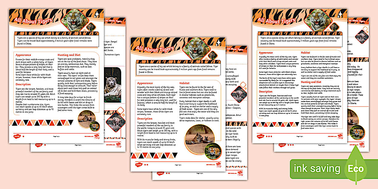 Tigers Differentiated Reading Comprehension Activity