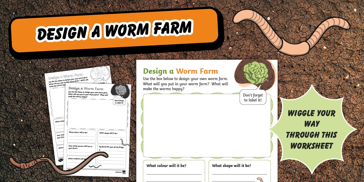 Design a Worm Farm Worksheet