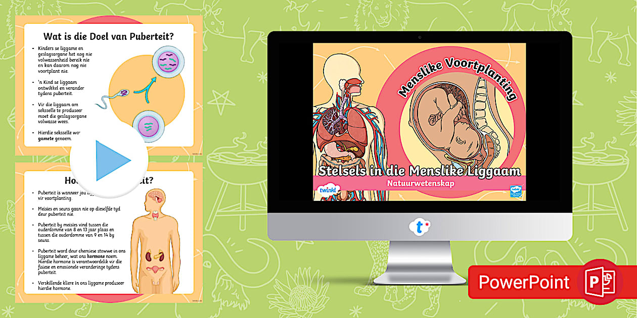 Menslike Voortplanting en Puberteit PowerPoint - Twinkl