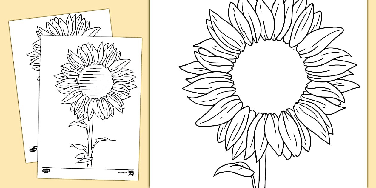 Sunflower Writing Template (teacher made) - Twinkl