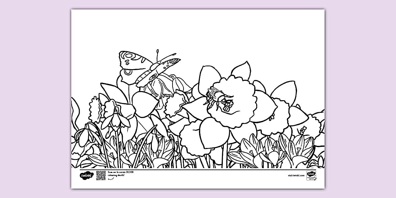 Spring Colouring Pages | Foundation Phase | Twinkl - Twinkl