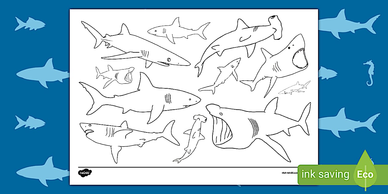 Shark Doodle Colouring Page (teacher made) - Twinkl