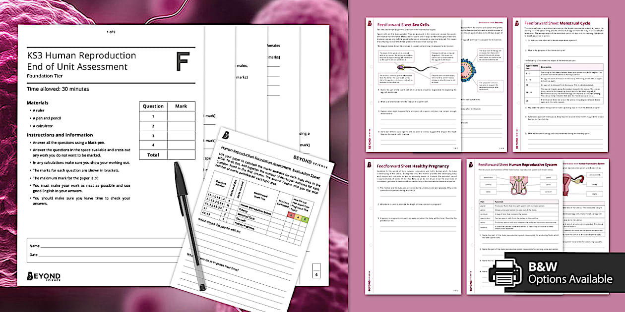 Human Reproduction Assessment Foundation | KS3 Biology