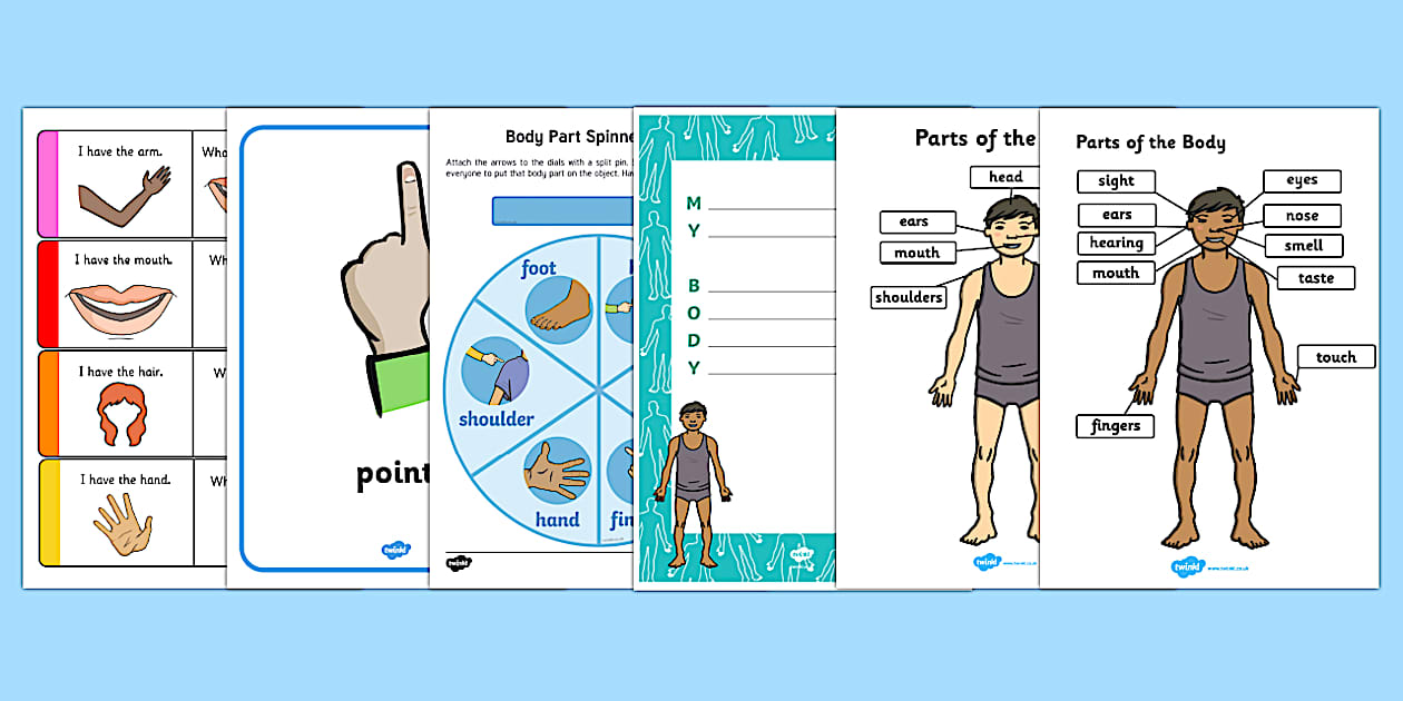 Top Ten My Body Activity Pack (teacher made) - Twinkl