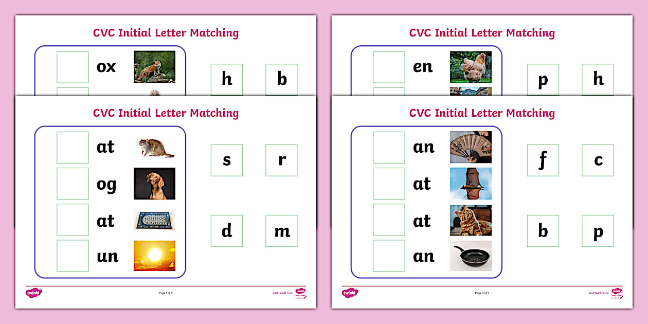 CVC Initial Letter Matching Photo Workstation pack - Twinkl