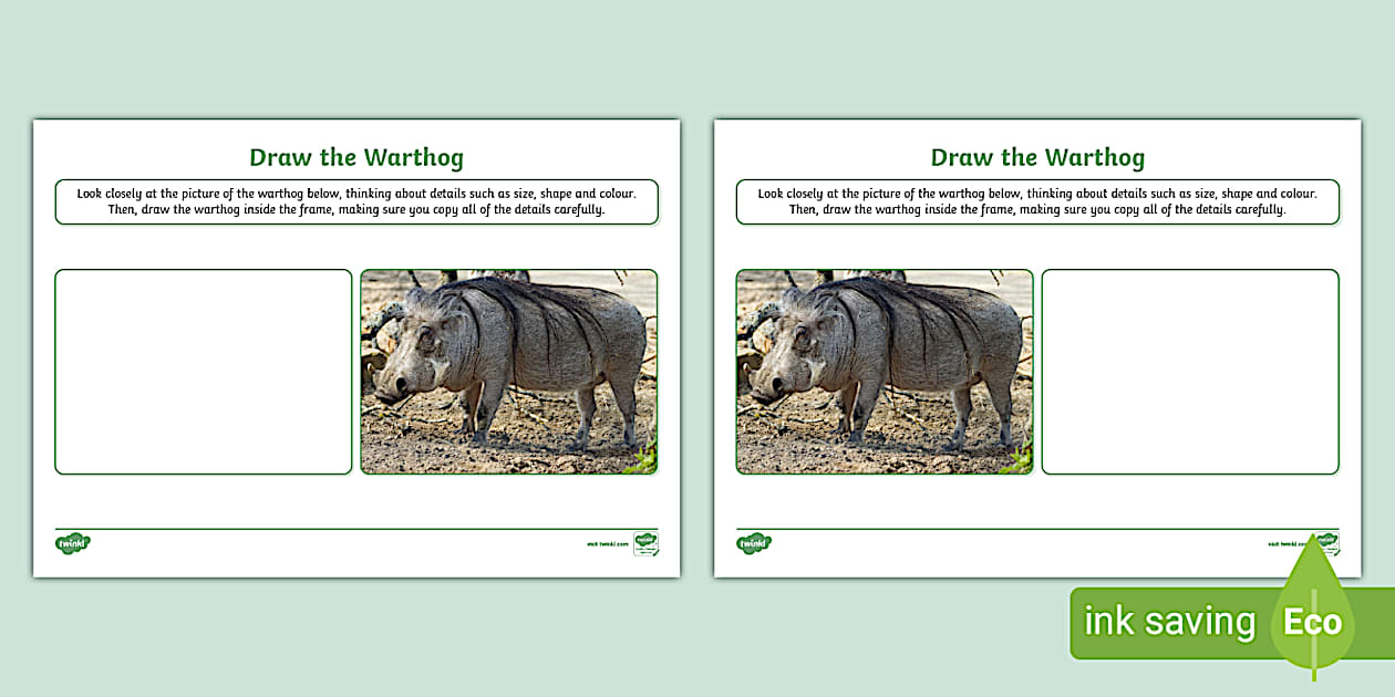Draw the Warthog Art Activity - Twinkl