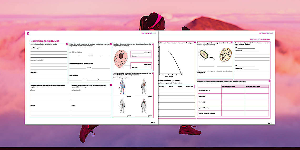KS3 Respiration Revision Mat Higher | Beyond Science