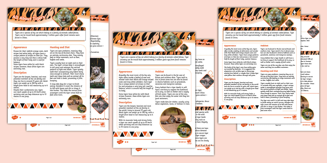 Tigers Differentiated Reading Comprehension Activity