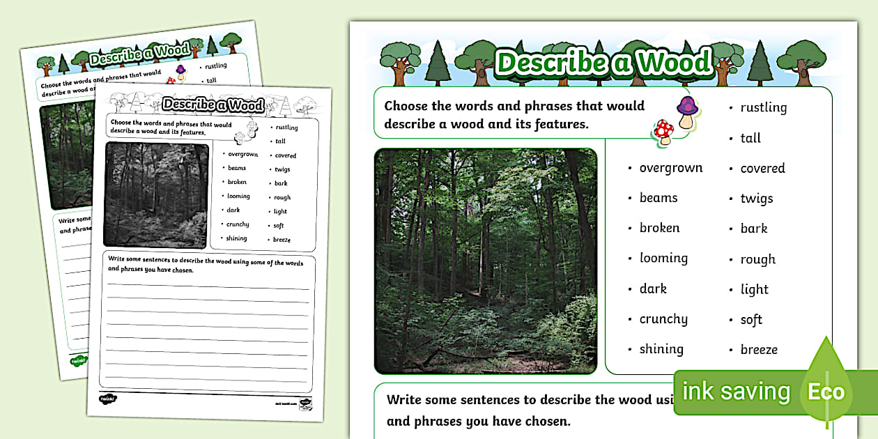 Describe a Wood Writing Activity (teacher made) - Twinkl