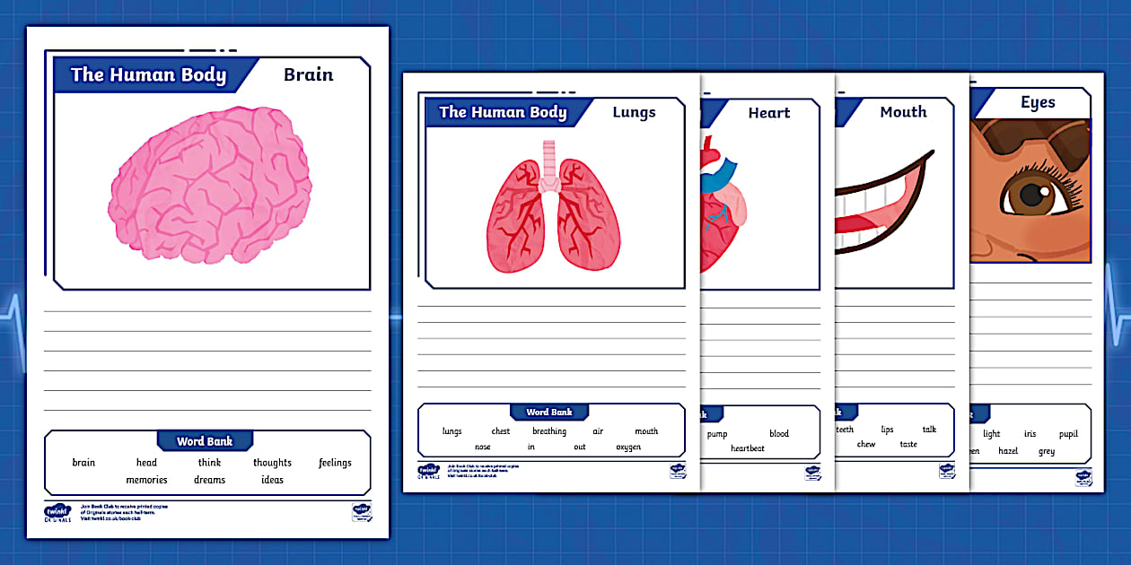 Human Body Parts Writing Frames (teacher made) - Twinkl