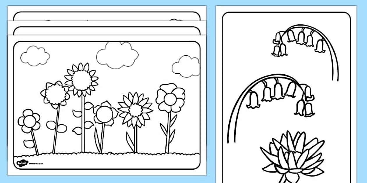 Disegni da Colorare di Fiori | Scuola Primaria