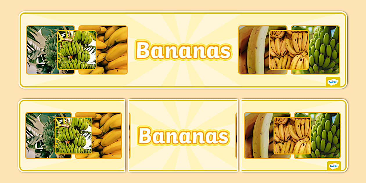 Bananas Photo Display Banner (teacher made) - Twinkl