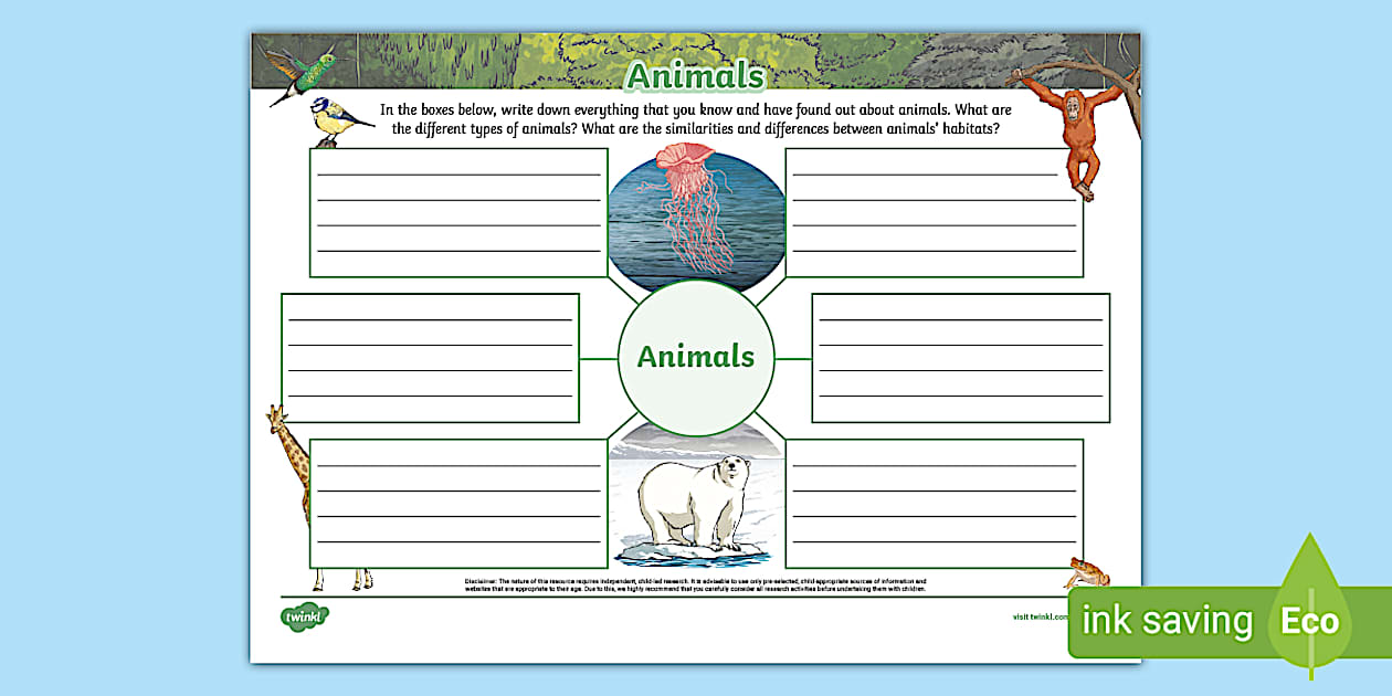Animals Mind Map (Hecho por educadores) - Twinkl