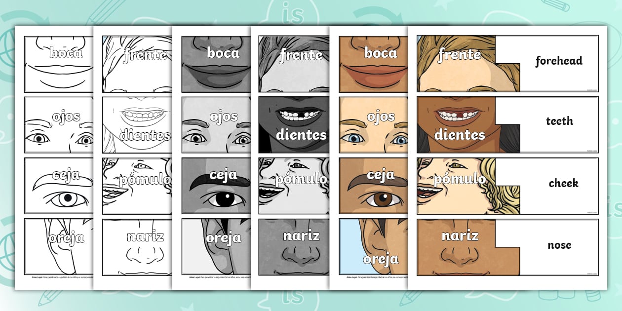 Guía de Trabajo: Puzzle - Partes de la Cara - Inglés/Español