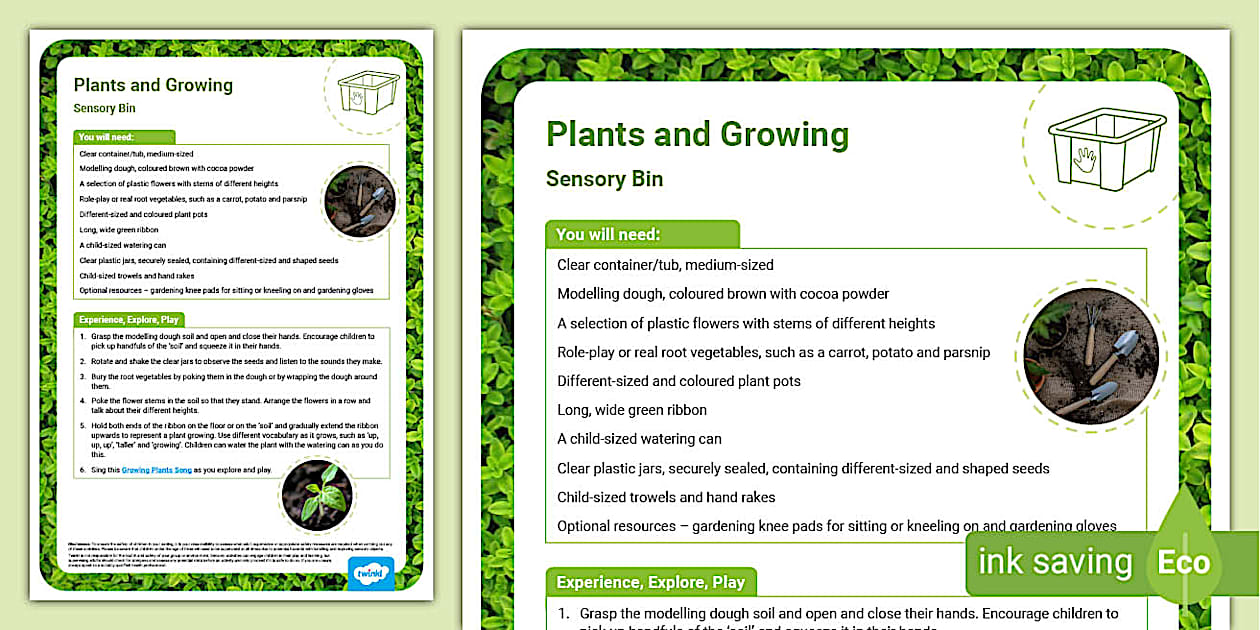 Plants and Growing Sensory Bin | Twinkl (teacher made)