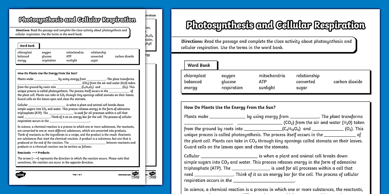 Cellular Respiration Worksheet | Life Science | Twinkl USA