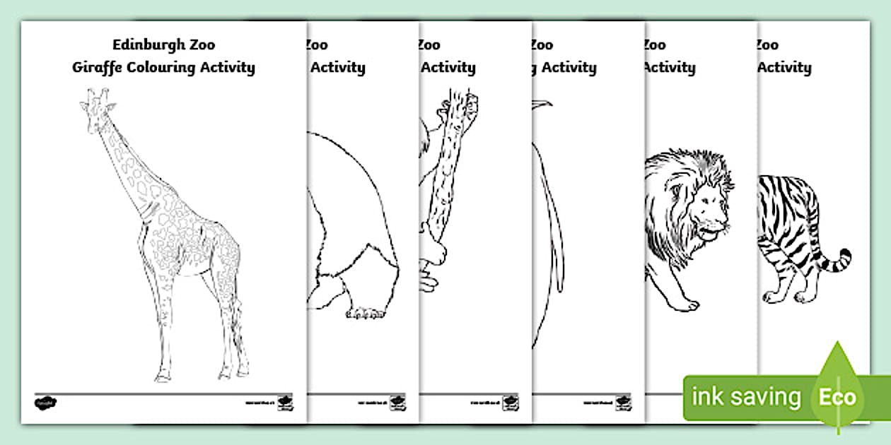 Edinburgh Zoo Colouring Pages – Wild and Wonderful Animals
