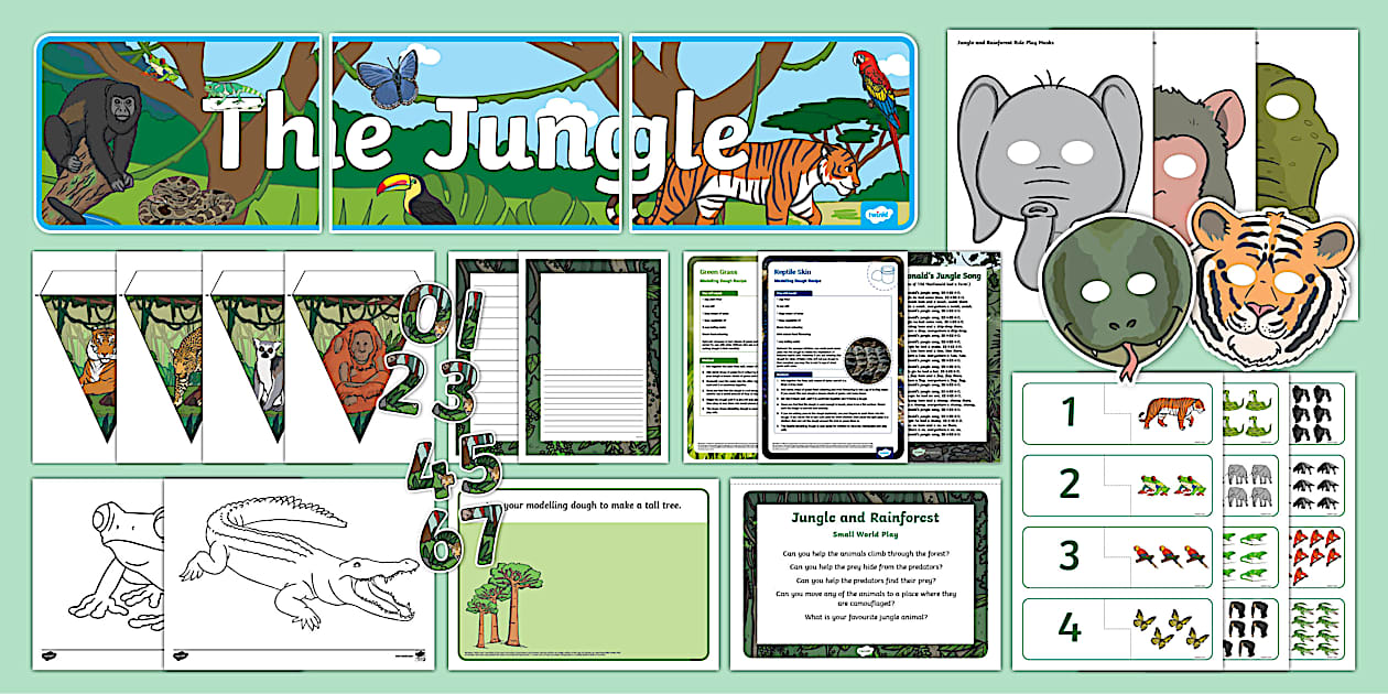 Childminder Jungle and Rainforest EYFS Resource Pack