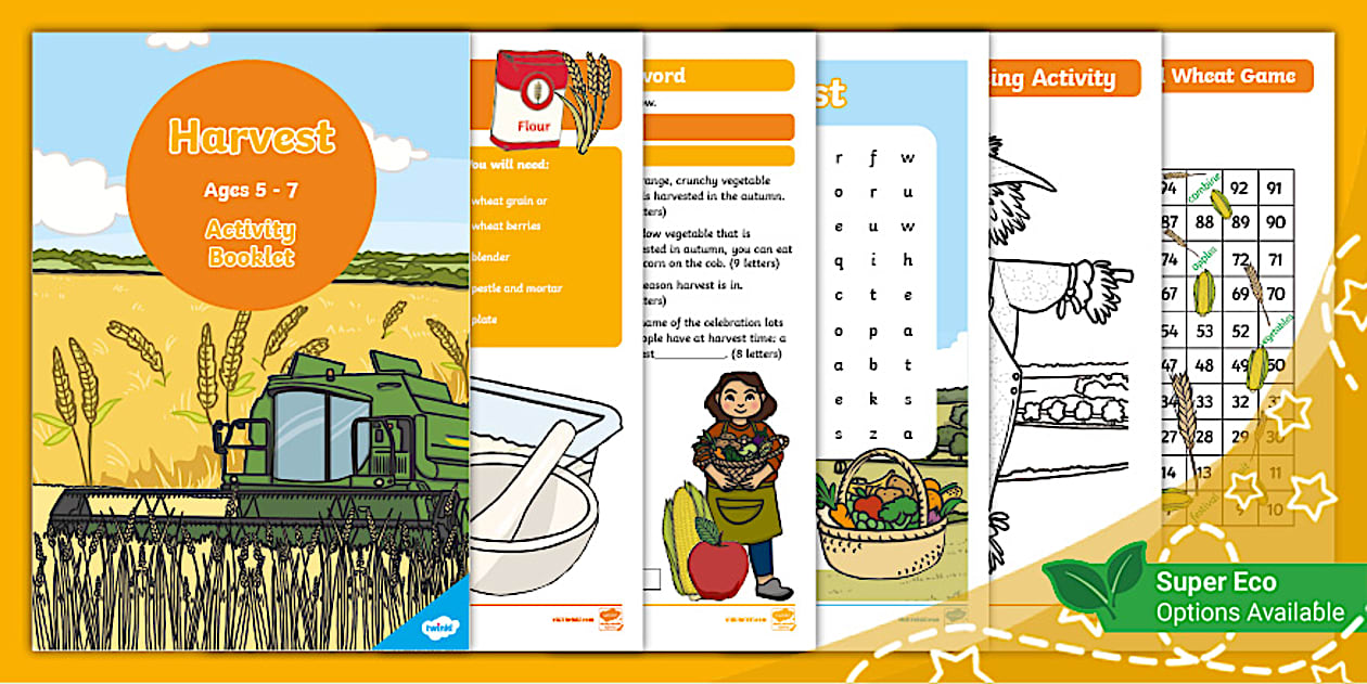 Harvest-Themed Activity Booklet (Ages 5 - 7) (Teacher-Made)