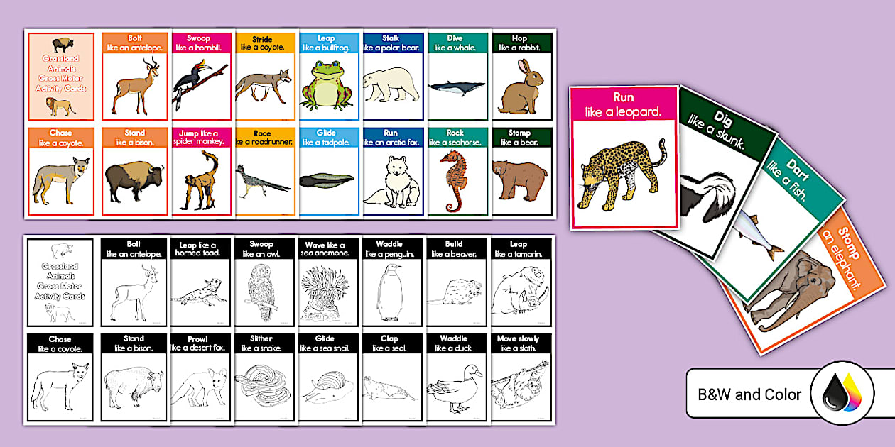 Animals Gross Motor Activity Cards Pack - Twinkl