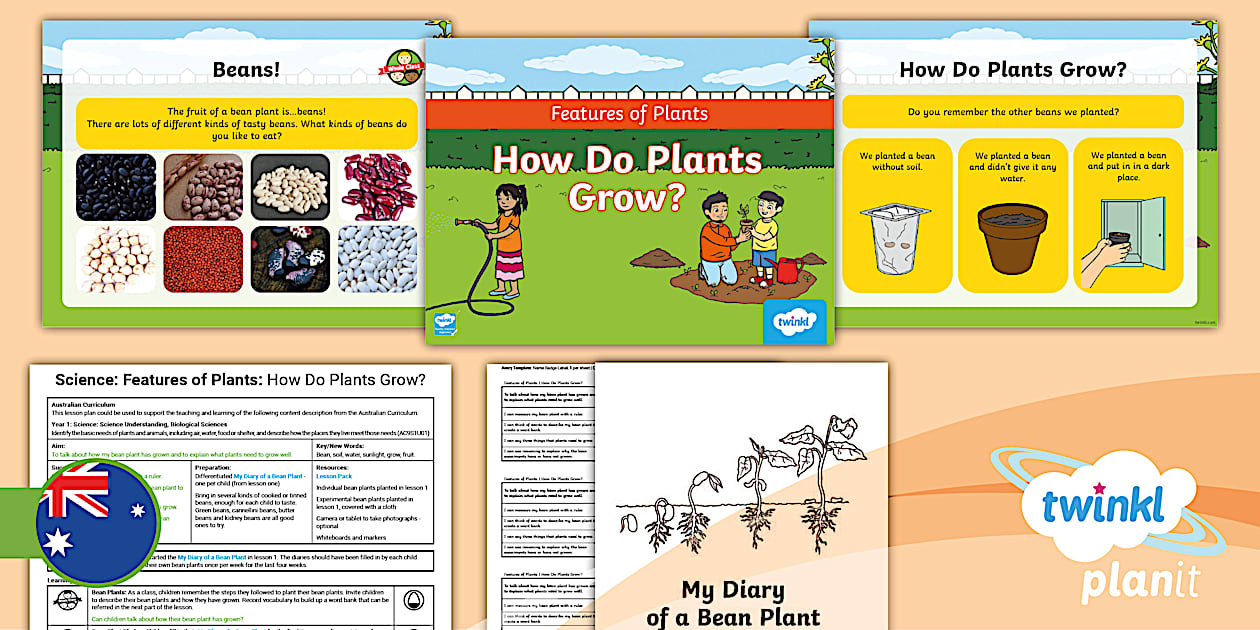 Year 1 Science Features of Plants Lesson 6 - Twinkl