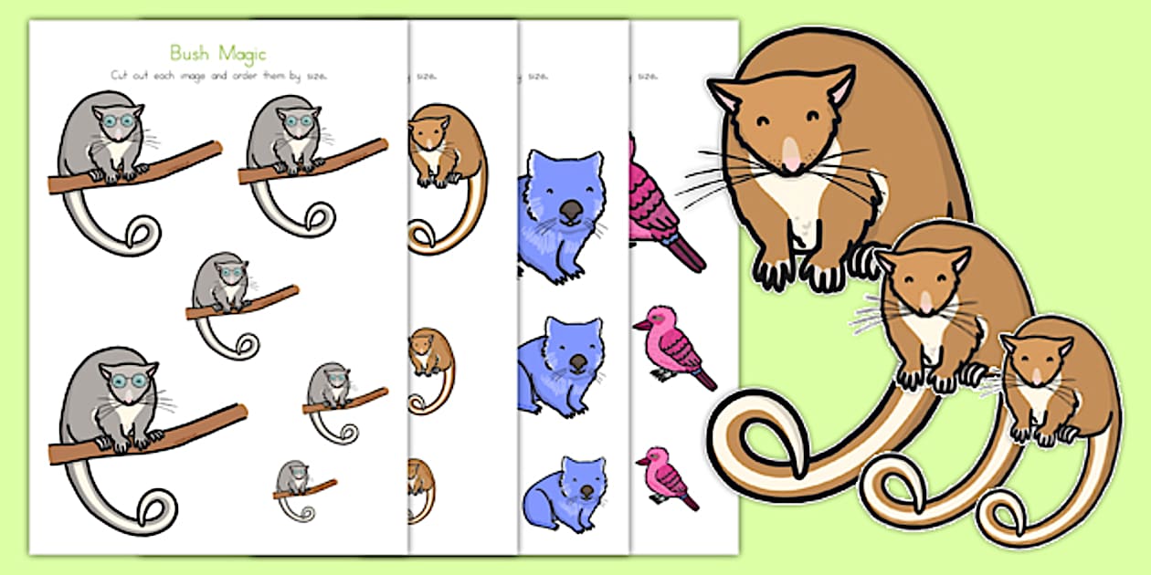 Size Ordering to Support Teaching on Possum Magic - Twinkl