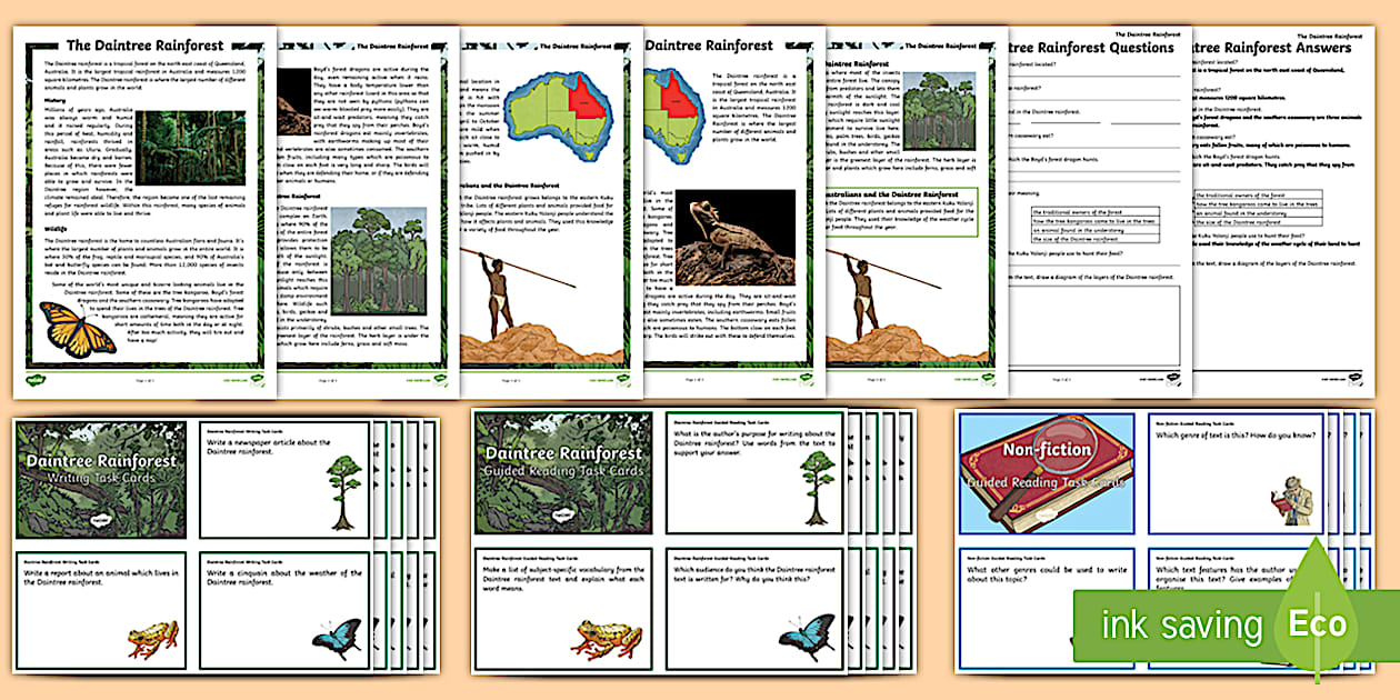 The Daintree Rainforest Guided Reading Activity Pack