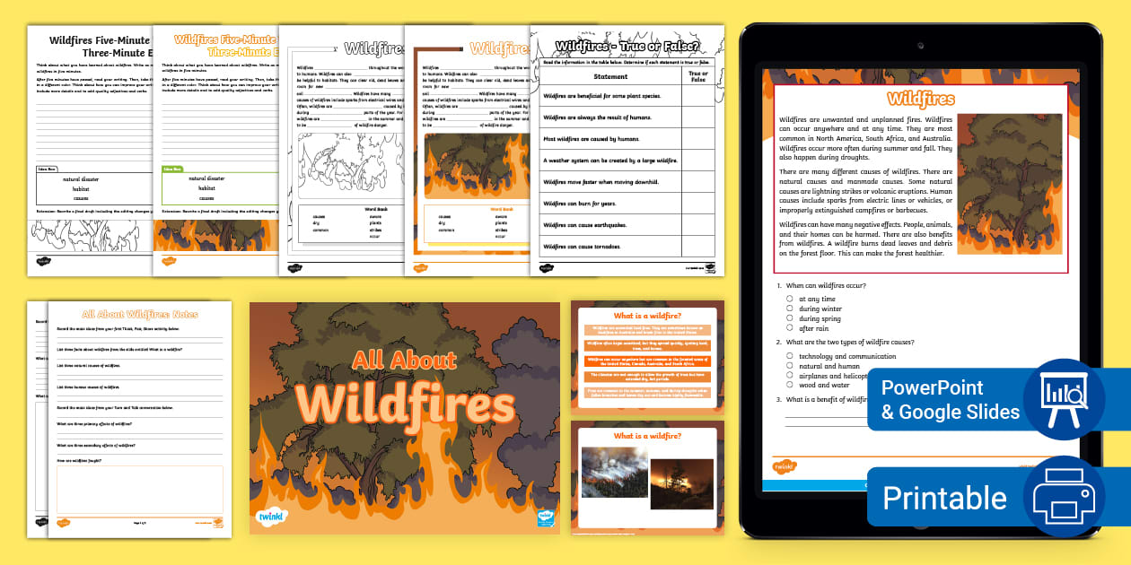 Third Grade Wildfires Lesson Pack (Teacher-Made) - Twinkl