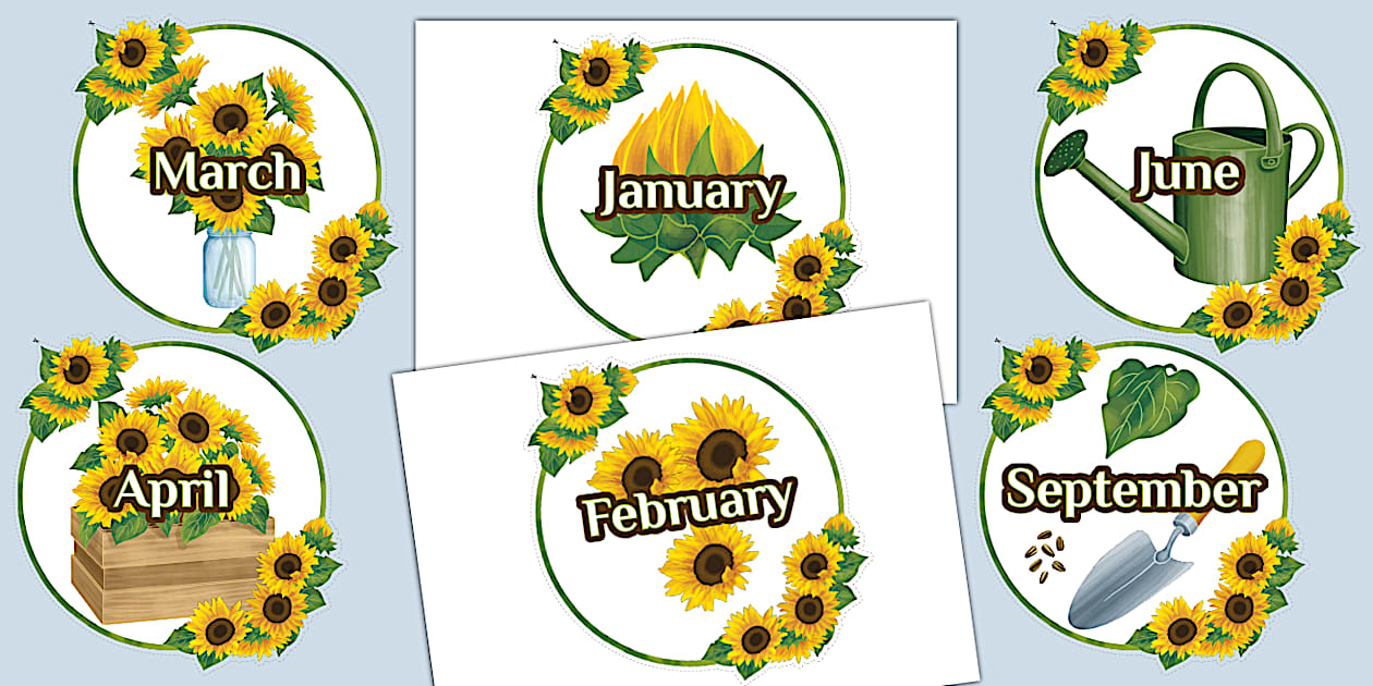Sunflower-Themed Months of the Year Cut-Outs - Twinkl