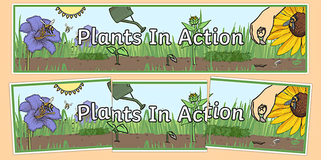 Plants In Action Display Banner (teacher made) - Twinkl