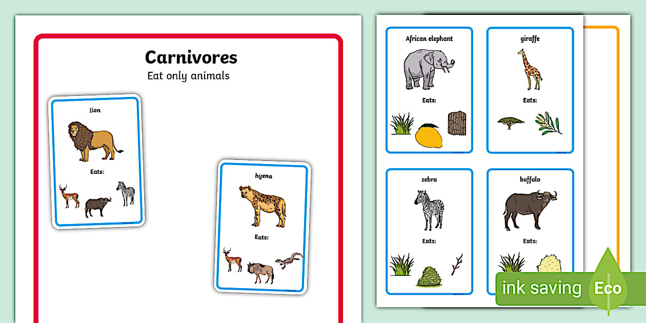 African Animals Carnivores, Herbivores and Omnivores Sorting Activity