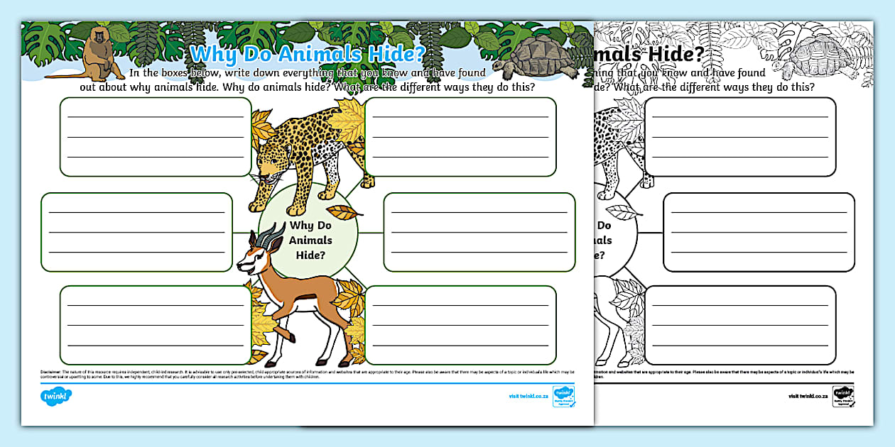 Foundation Phase - Mind Map: Why do Animals Hide - Twinkl