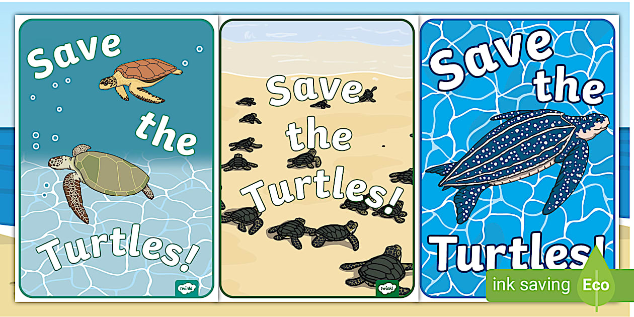 Save the Turtles Poster | Twinkl Save the Turtle Poster