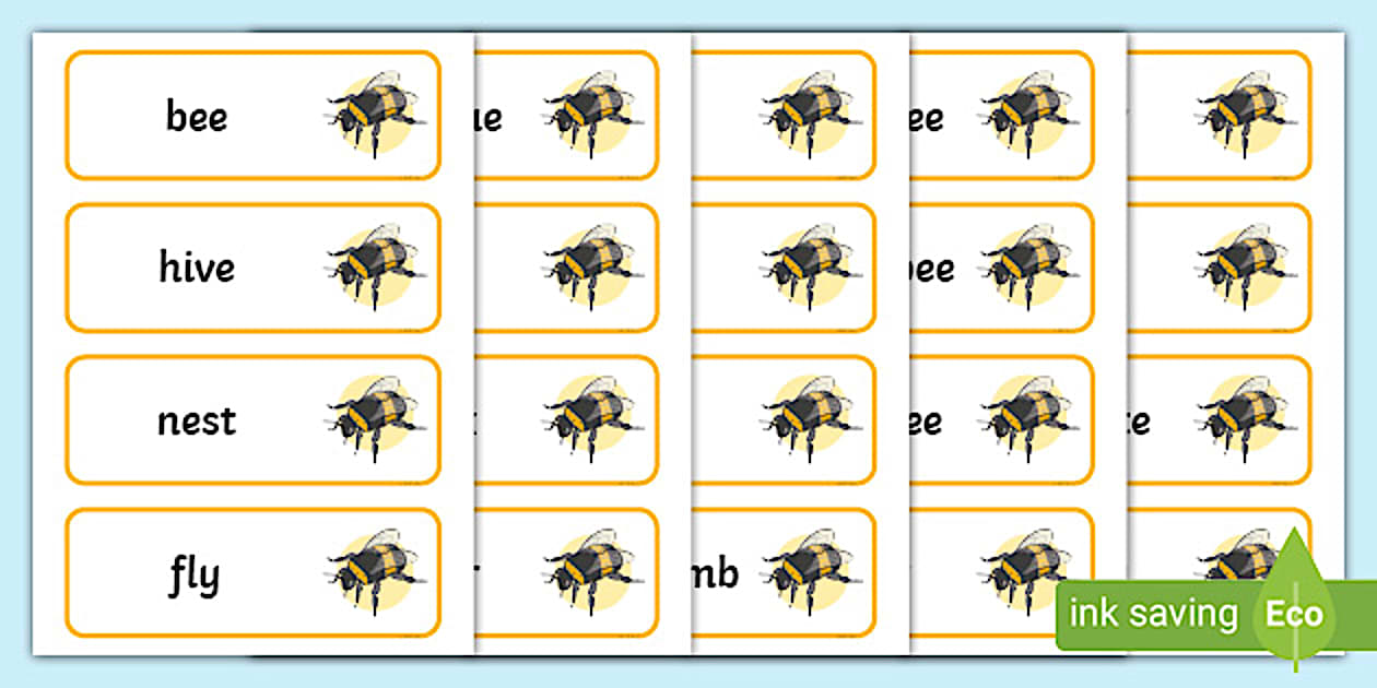 Bee Flashcards (teacher made) - Twinkl