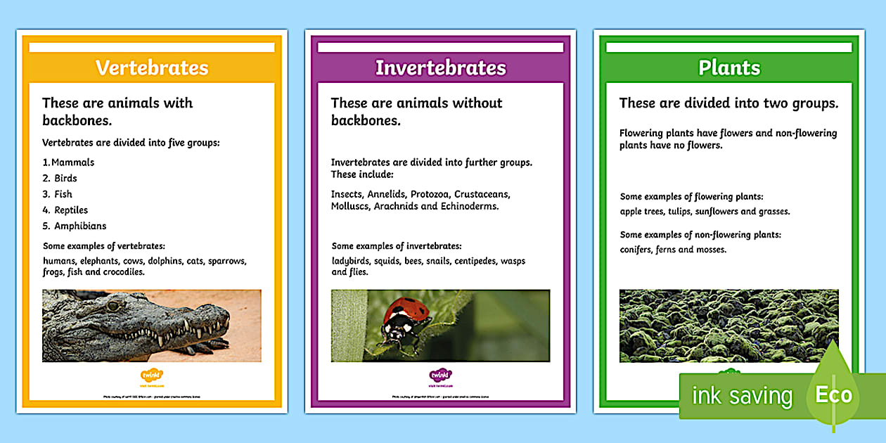 Classify Living Organisms Display Posters - Classify Living Organisms,