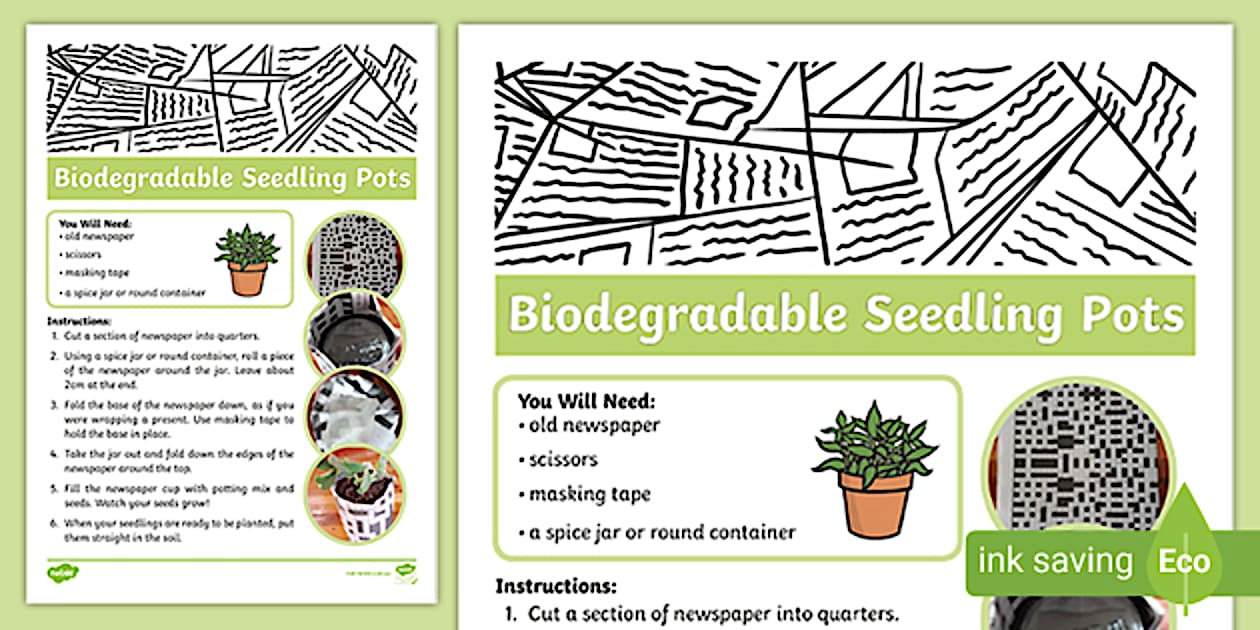 SA Biodegradable Seedling Pots Activity (teacher made)