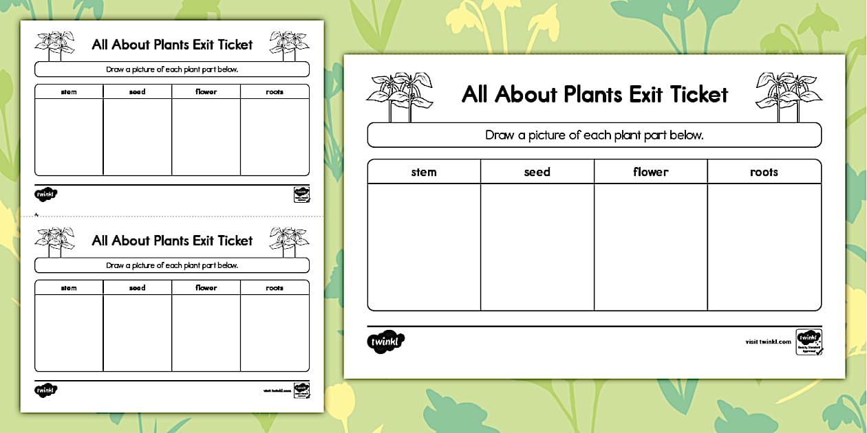 All About Plants Exit Ticket for PK-K (teacher made)