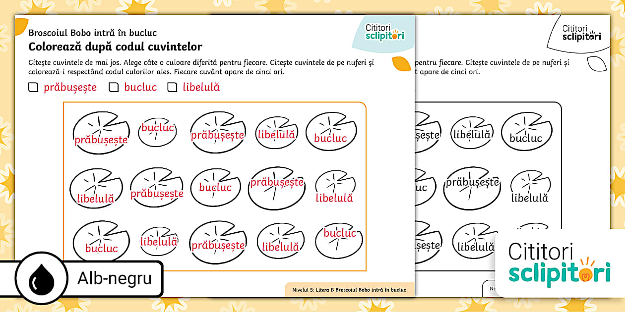 Litera B: Broscoiul Bobo – Colorează după codul cuvintelor