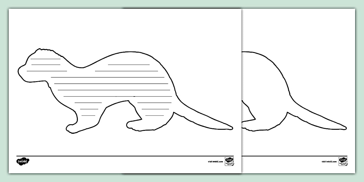 Ferret Writing Template (Teacher-Made) - Twinkl
