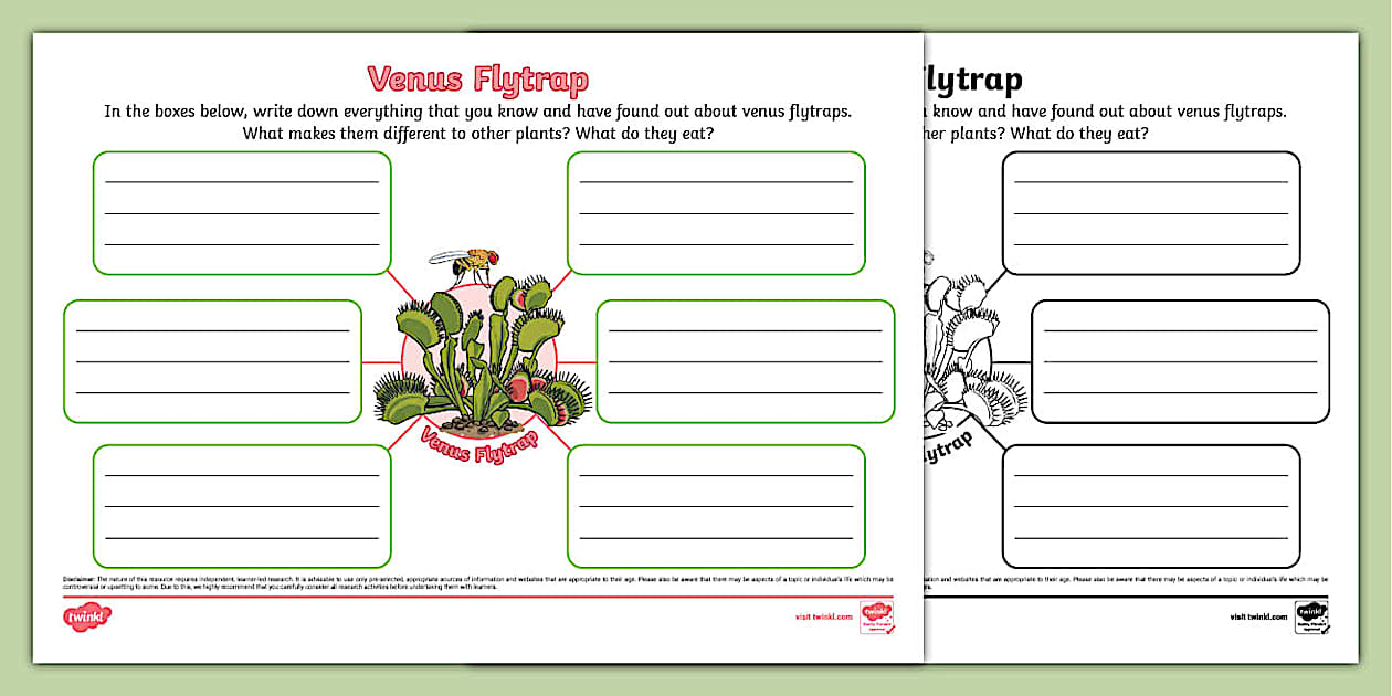 Venus Flytrap Mind Map (teacher made) - Twinkl