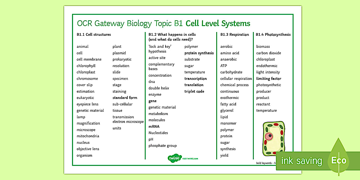 OCR Gateway Biology Cell Level Systems Word Mat - Twinkl